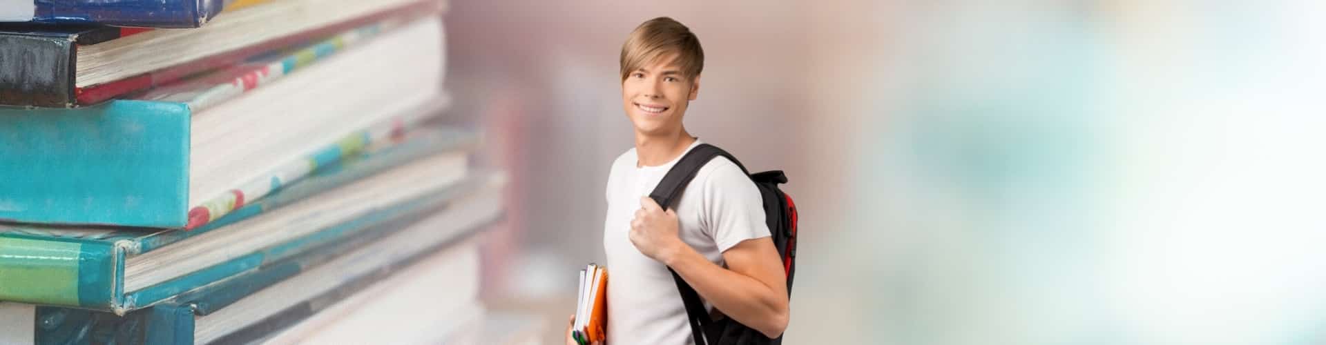 Mgt60040 Management Analyses And Problem Solving Assignment Sample The Assignment Helpline