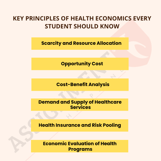 Health Economics Assignment Help By Expert | TheAssignmentHelpline